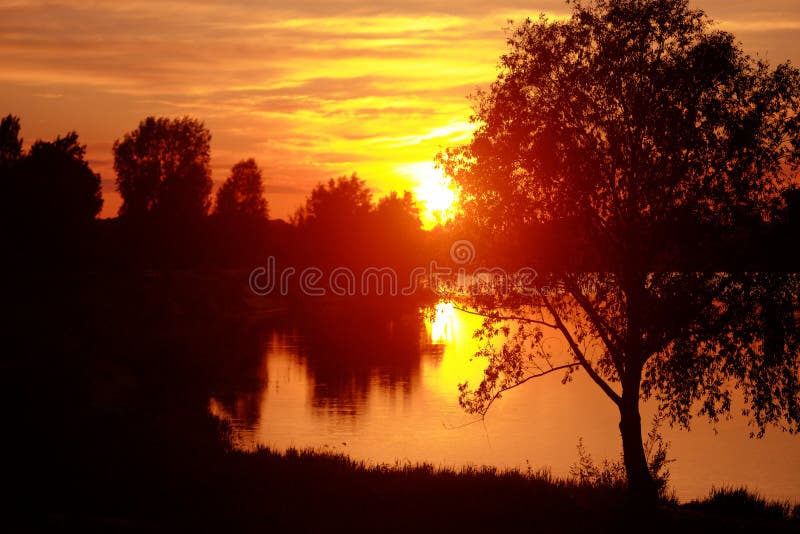 Water Landscape Lake in the Sunset Forest. Stock Image - Image of lake ...