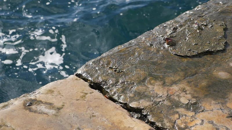 Water Lapping at a Stone Pier Stock Footage - Video of waves, stone ...