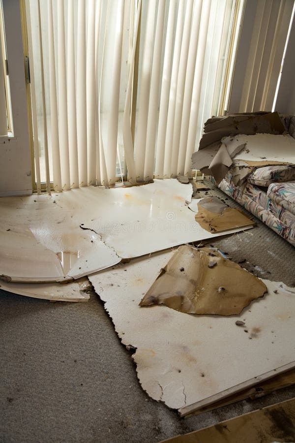Water leaking damaged home stock image. Image of mildew - 8909741