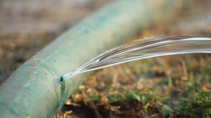 Leaking Fire Hose during Water Pressure. Water Under Strong Pressure ...