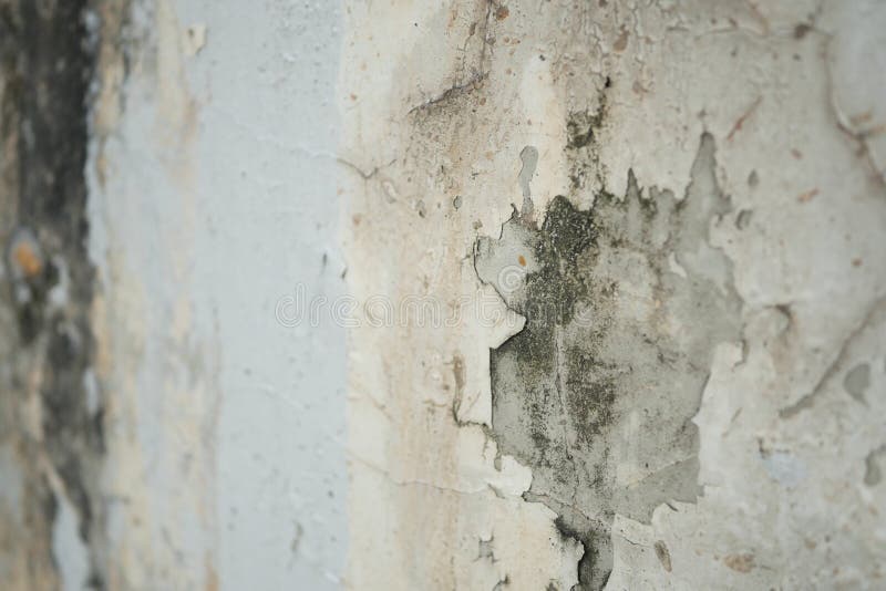 Water Leaks on the Wall Damage the Paint. Stock Photo - Image of decay ...