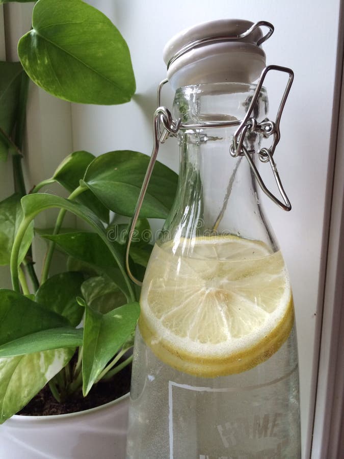 Water with lemon stock photo. Image of green, lemon, cool - 43140228