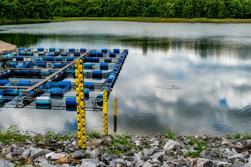 Water level pole stock photo. Image of high, level, detail - 95443194