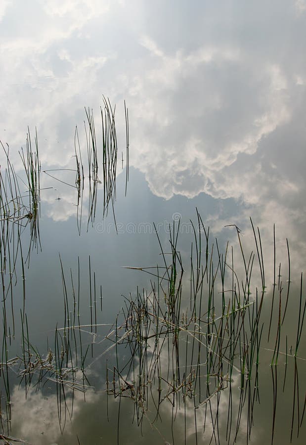 Water-level and Reflecting Clouds Stock Image - Image of cloudy, bank ...