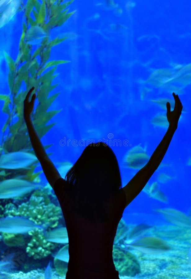 Water is Life stock image. Image of aqua, ocean, nature - 14590019