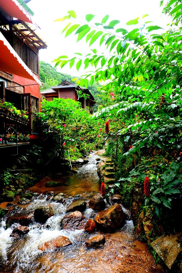 Water of life stock photo. Image of north, water, wallpaper - 75125240