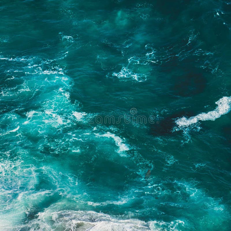 Water life stock image. Image of water, lake, life, ocean - 139888085