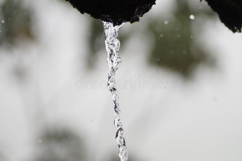 Water is life stock photo. Image of life, timing, water - 69999270