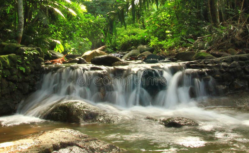Water of life stock image. Image of life, water, tropical - 95313415