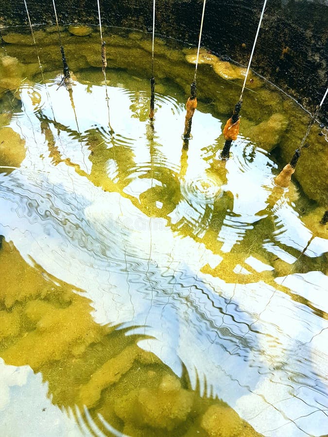 The water stock photo. Image of water, light, raindrops - 75826122