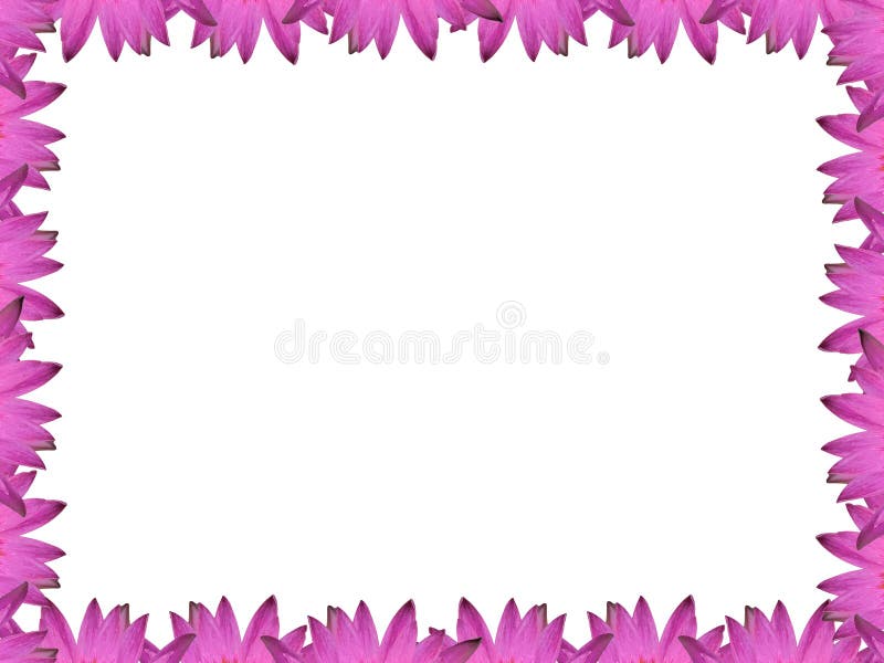 Water Lily Frame stock image. Image of passion, lotus - 55260913