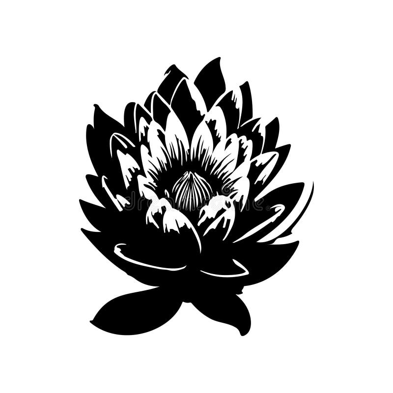 Water Lily Icon Hand Draw Black Colour Flowers Logo Symbol Perfect ...