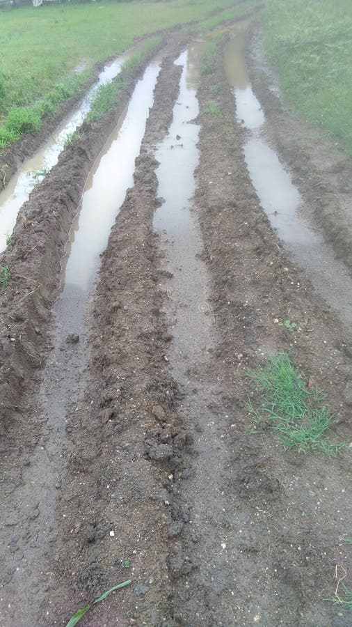 Water line stock image. Image of water, sunset, fall - 124991189