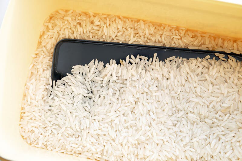 Spoiled Uncooked Rice at Quyen Elliott blog