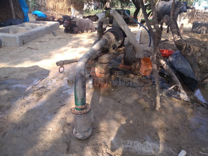 Water lonchar stock photo. Image of lonchar, ihop, water - 170439394