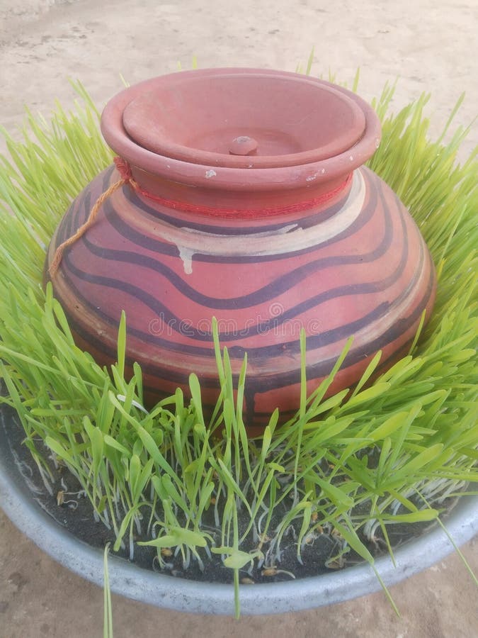 Clay Pot Known As Matka. this Use for Cold Water Stock Photo - Image of ...