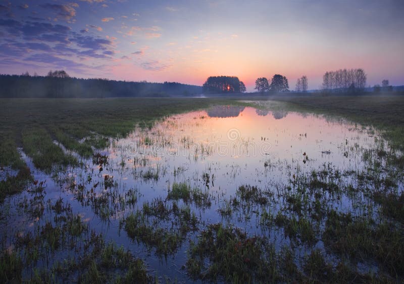 Water-meadow. stock image. Image of water, clouds, wood - 12546551