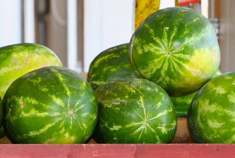Water Melon stock photo. Image of melon, tropics, watermelon - 2346502