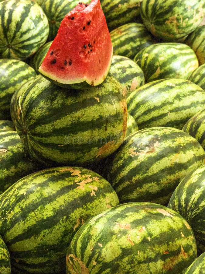 Water melon stock image. Image of fresh, ribeiro, freshness - 121223515