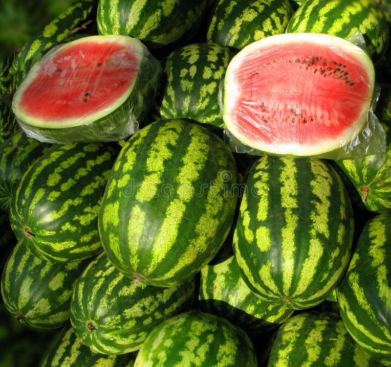 Ripe water-melons stock image. Image of striped, tasty - 11089123