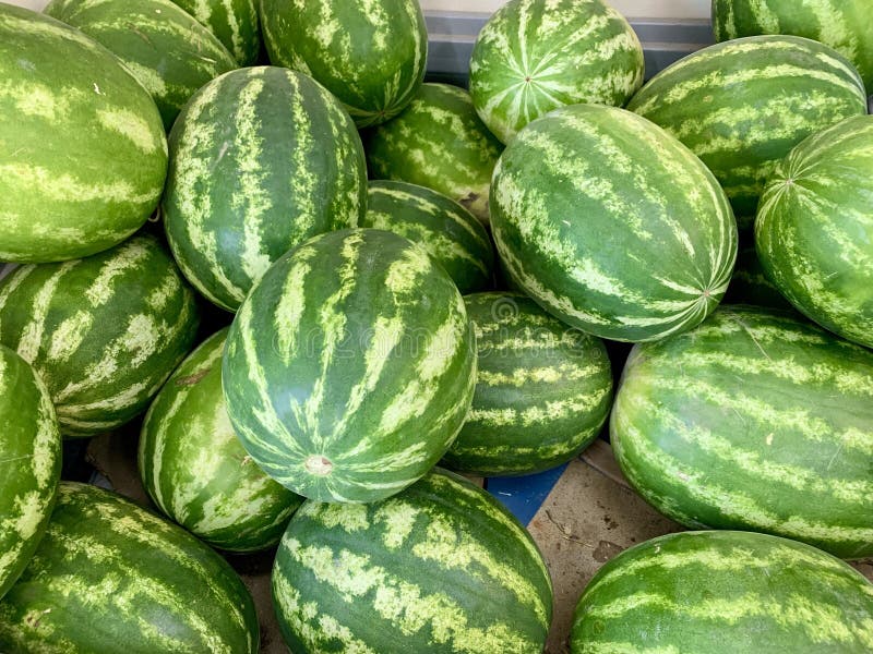 Water Melons stock image. Image of healthy, melons, pile - 395709261