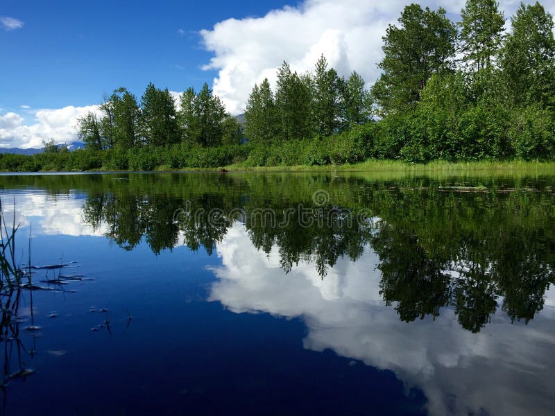 Water mirror stock photo. Image of landscape, beauty - 55165040