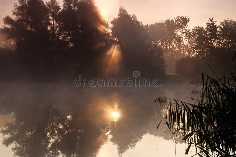 Water mist stock photo. Image of weeds, cold, mist, autumn - 21160790
