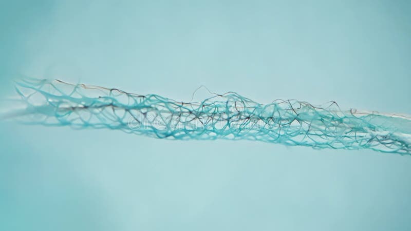 Water Molecules Intertwining and Interacting Under a Microscope in a ...