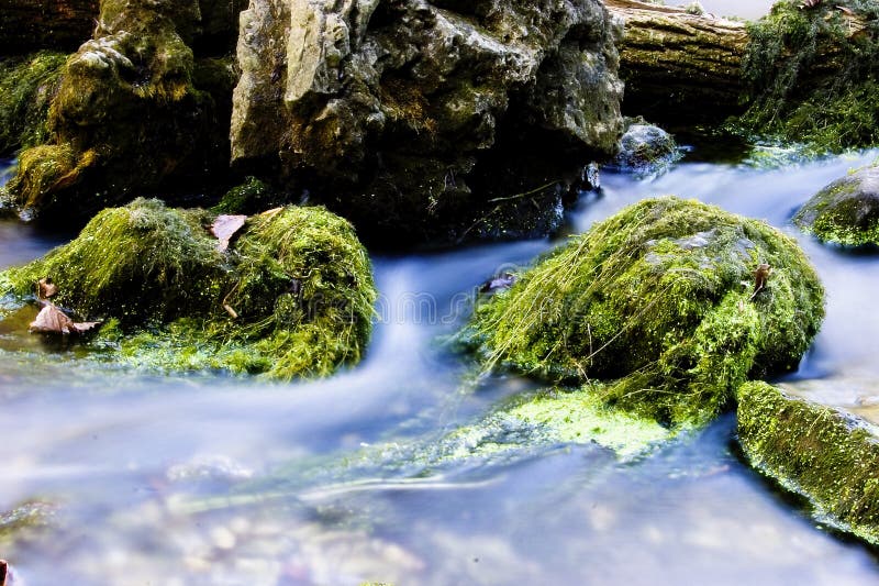 Water and moss stock image. Image of pristine, river, rock - 45675