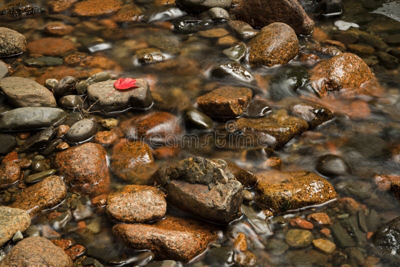 Water Moving in Stream - One Red Leaf Stock Image - Image of outdoors ...