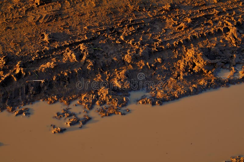 Water and Mud stock image. Image of detail, watery, orange - 7435953