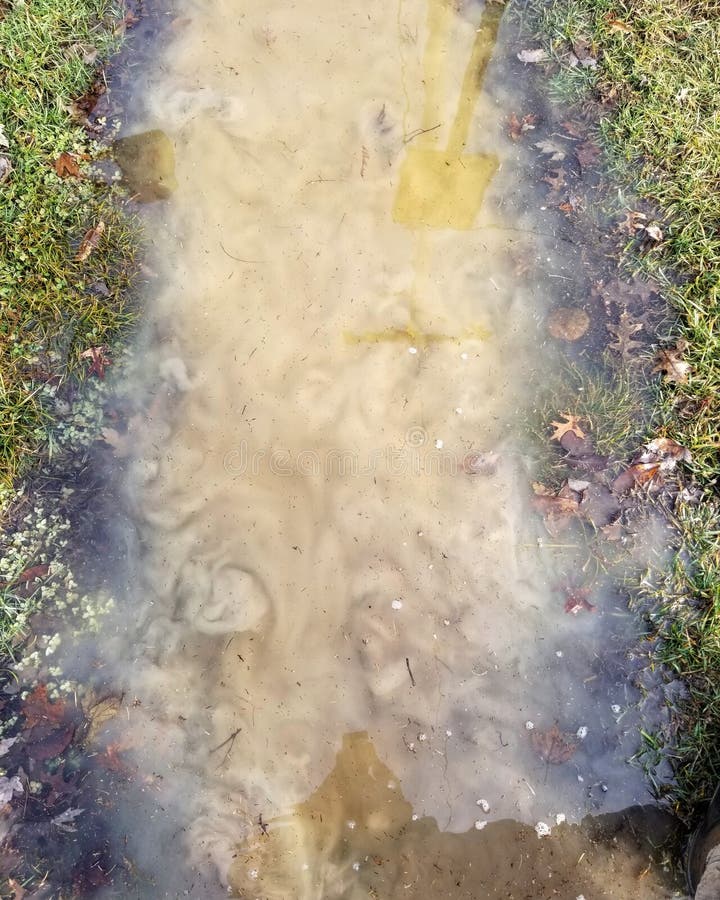 Water mud flow stock photo. Image of swirl, leaves, flow - 175646518