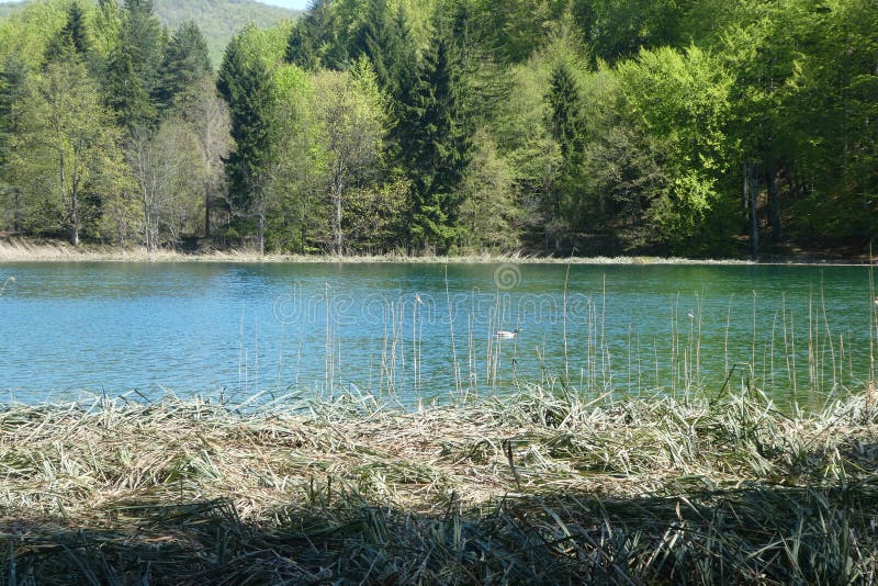 Water, Nature Reserve, Body Of Water, Lake Stock Image - Image of ...