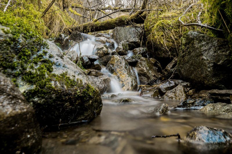 Water, Nature, Stream, Body Of Water Picture. Image: 112568702