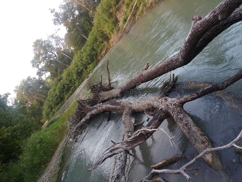 Water in nature stock image. Image of nature, texas - 166342453