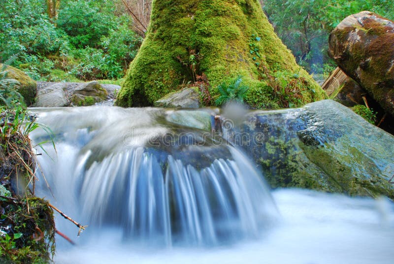 Water, Nature, Waterfall, Watercourse Picture. Image: 118780417