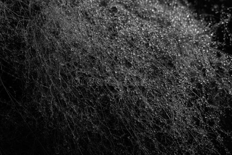 Water net stock image. Image of ooutdoors, stick, caceres - 18462211