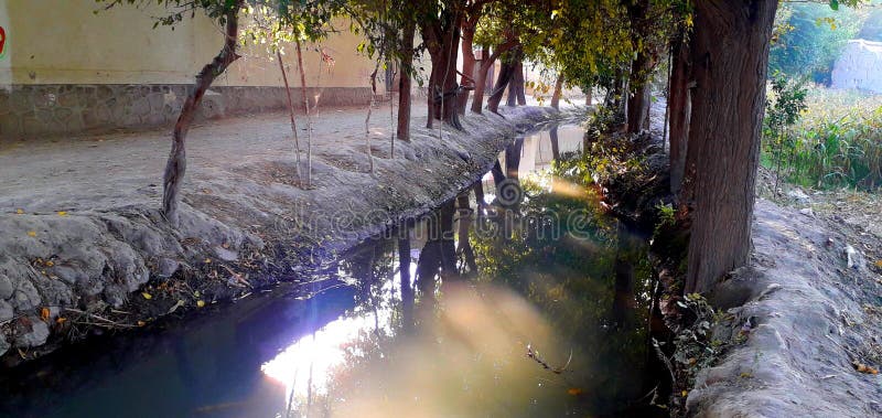 Water stock photo. Image of tree, water, kunar, oranges - 162389660