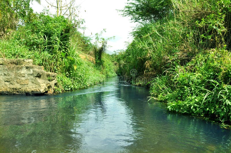 Water outside way forest stock image. Image of concept - 88402507