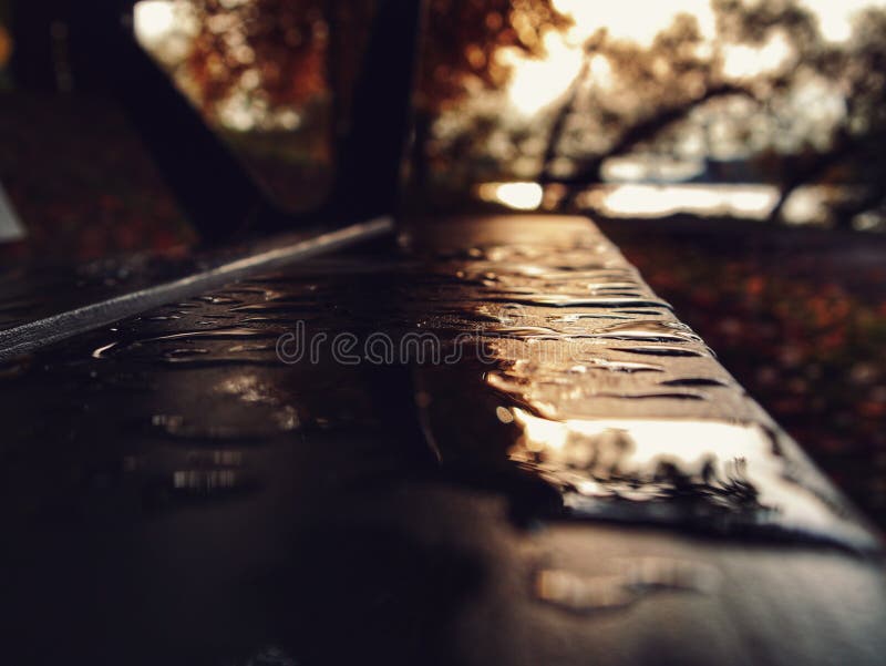 Water on a park bench stock image. Image of black, evening - 257935709