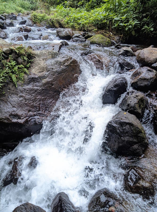 Water Passing Over the Rocks in the River Stock Photo - Image of tree ...