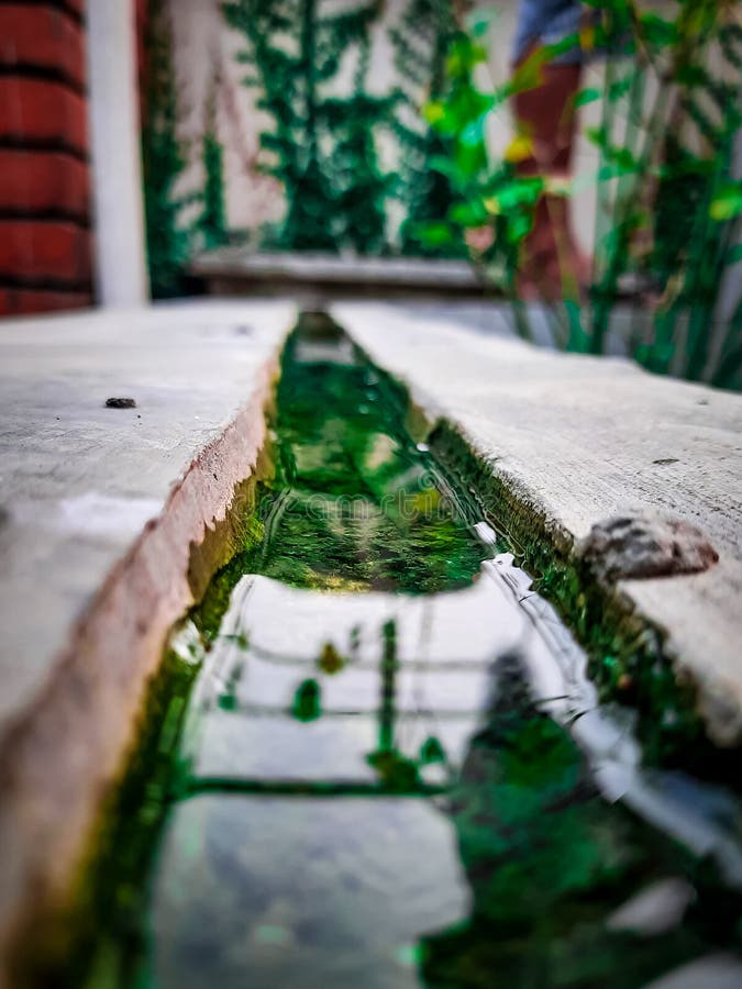 A water path. stock photo. Image of water, pond, waterc - 222442680