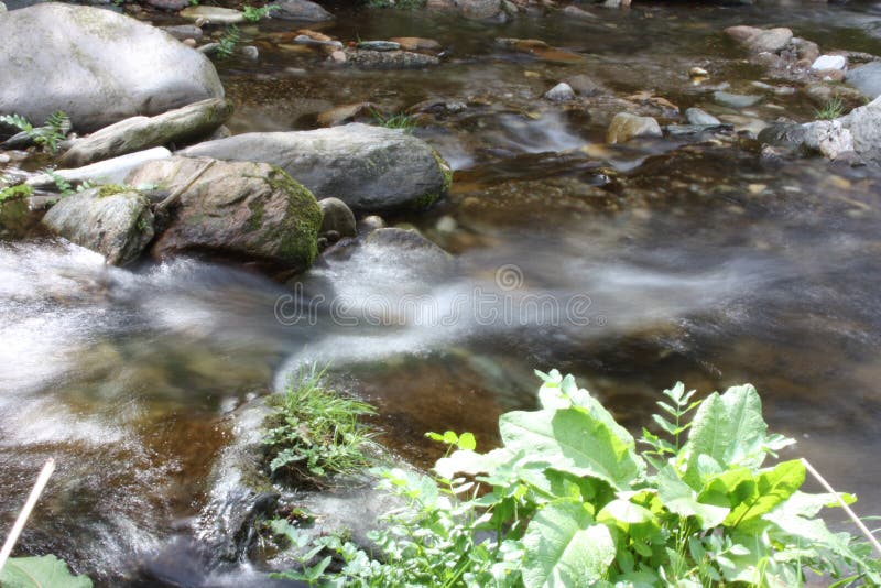 Water Path with Silk Effect. Small River Flowing from the Waterfall in ...