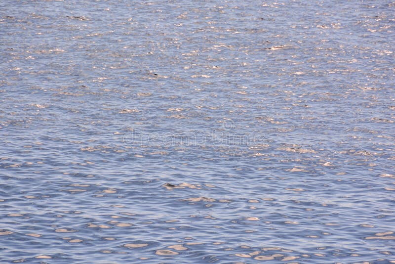 Water Pattern Texture stock photo. Image of texture - 119546222