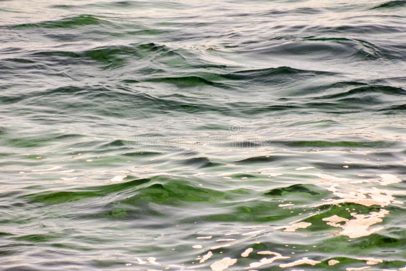 Water Pattern Texture, Water Surface Stock Illustration - Illustration ...