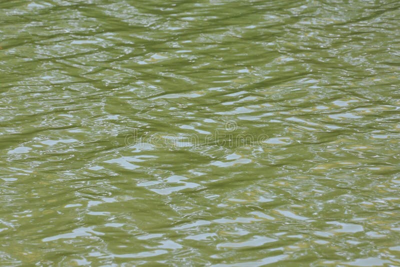 Water Pattern Texture stock illustration. Illustration of pattern ...