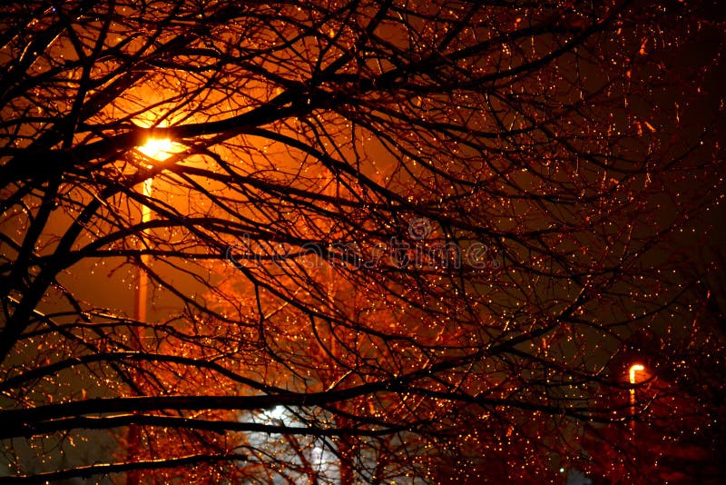 Water Droplets from the Melting Snow Stock Photo - Image of droplets ...