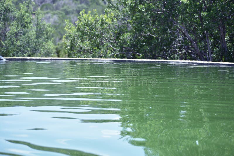 Water Pila stock photo. Image of environment, nature - 100909088