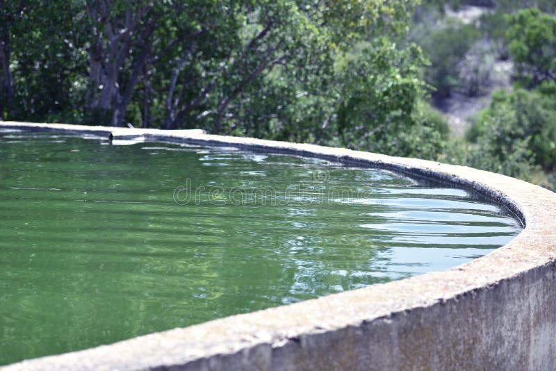 146 Water Pila Stock Photos - Free & Royalty-Free Stock Photos from ...