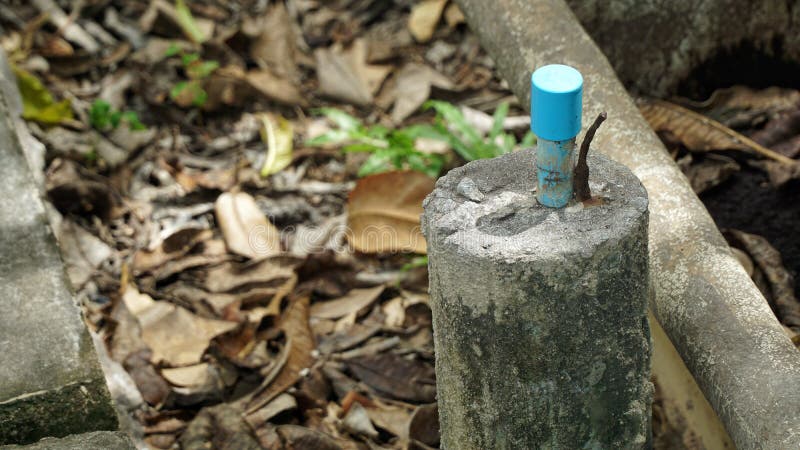 Water pipe stock photo. Image of garden, pipe, tree - 100495044